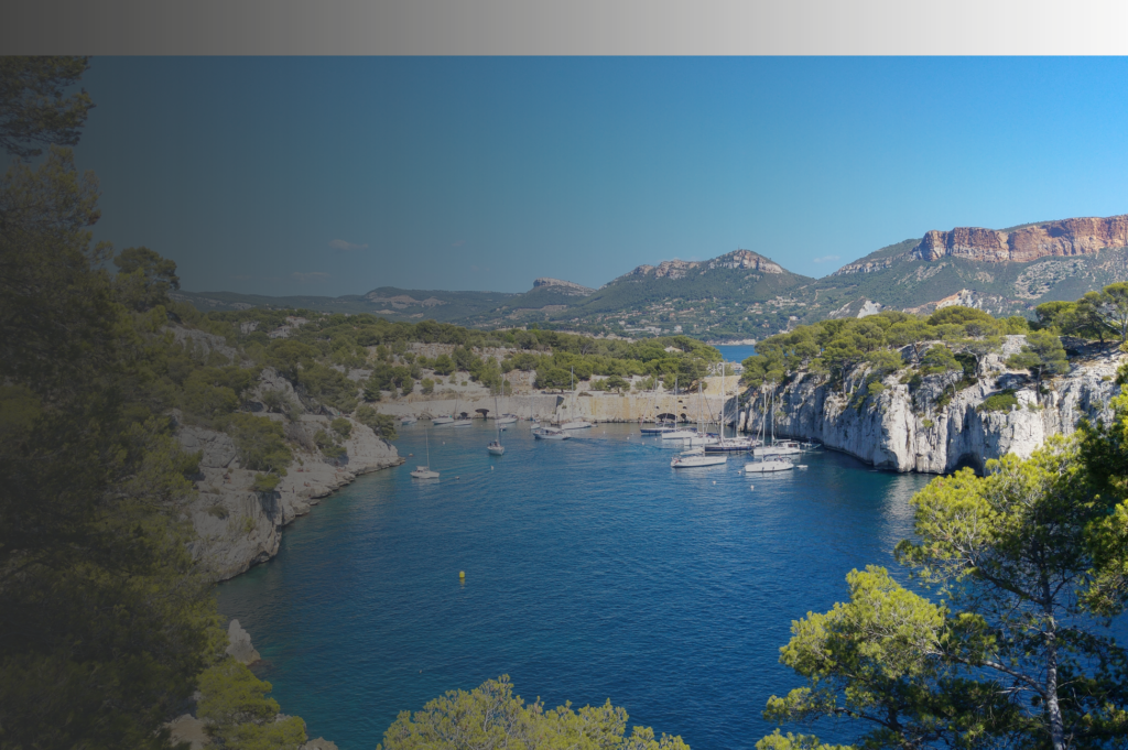 test_background - L'atelier de Séverine